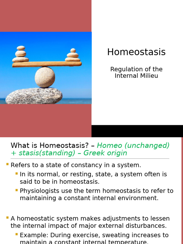 Homeostasis and Cell | PDF | Endoplasmic Reticulum | Lysosome