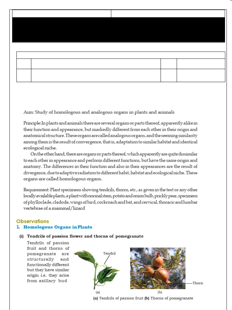 04.10.2024 CLASS-XII BIOLOGY PRACTICAL MATERIALS-11 | PDF | Homology (Biology) | Leaf