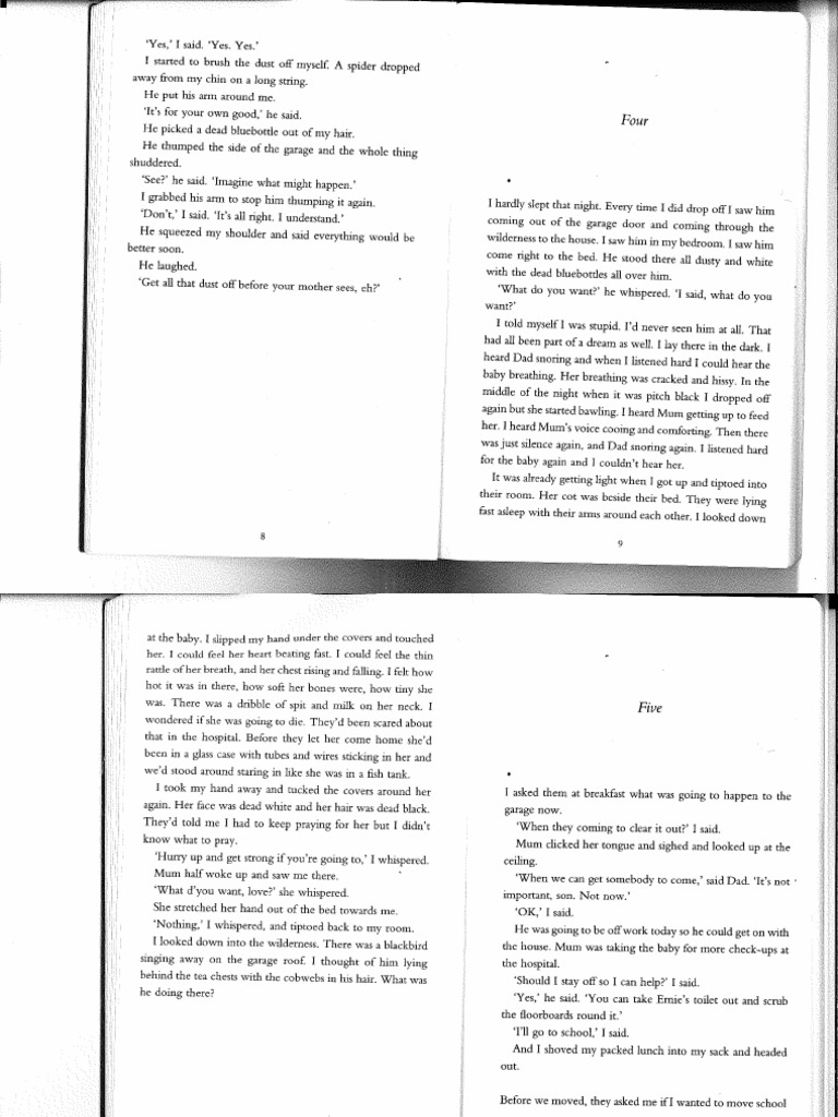 Skellig-book-pages-5 | PDF