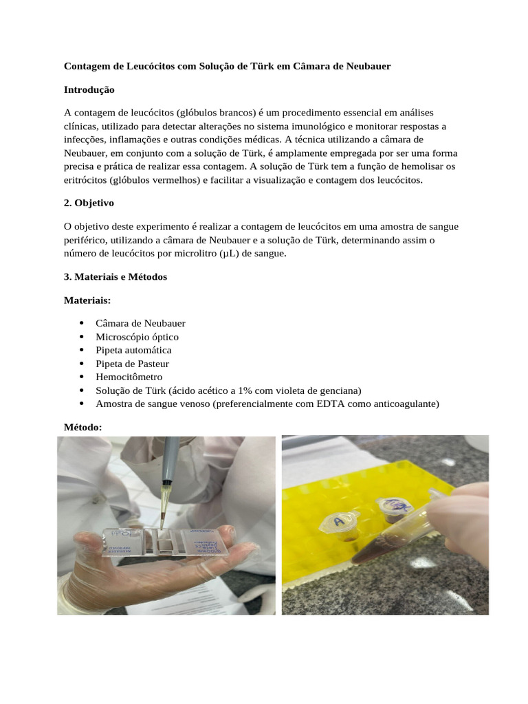 Contagem de Leucócitos com Solução de Türk em Câmara de Neub | PDF ...
