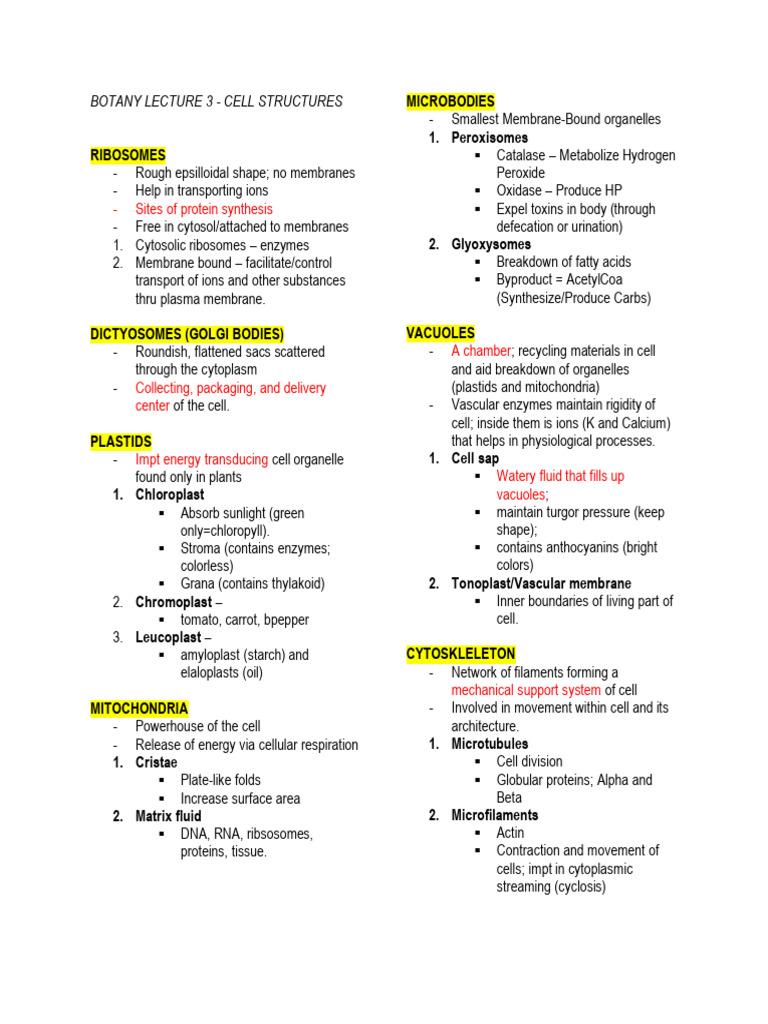 Botany Lec_Week 3_P | PDF | Mitosis | Cell (Biology)