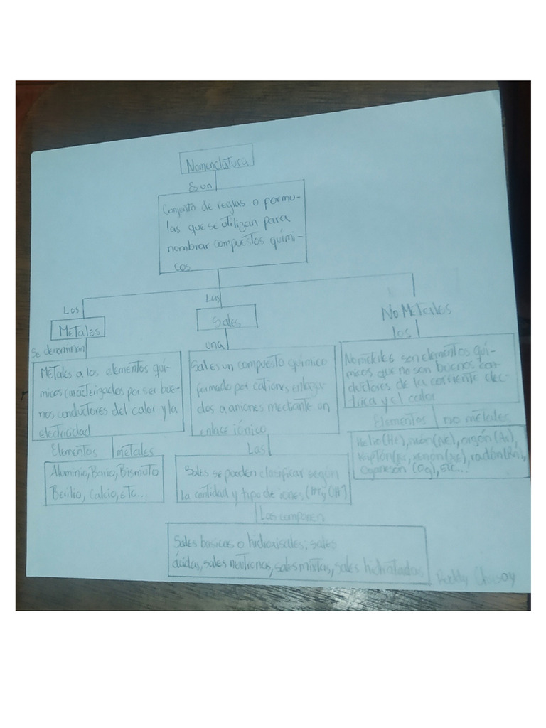 Mapa Conceptual | PDF