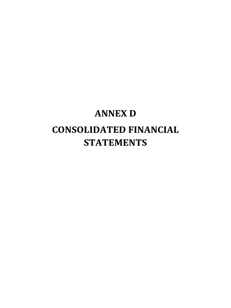 ANNEX D PIZZA Consolidated Financial Statements | PDF | Audit | Going ...