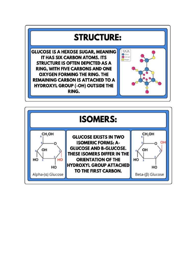 Monomer - Glucose | PDF