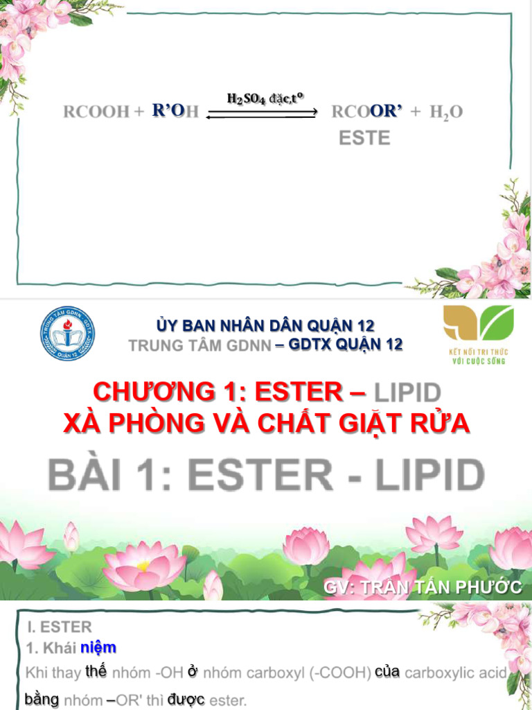 Bài 1 Ester - Lipid | PDF