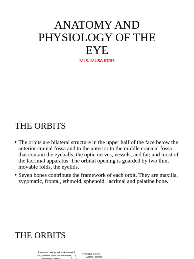 Anatomy and Physiology of The Eye-1 | PDF | Retina | Human Eye