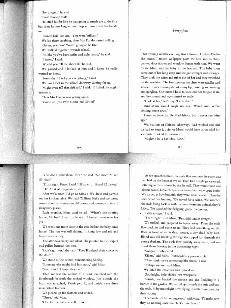 Skellig Book Pages 43 | PDF