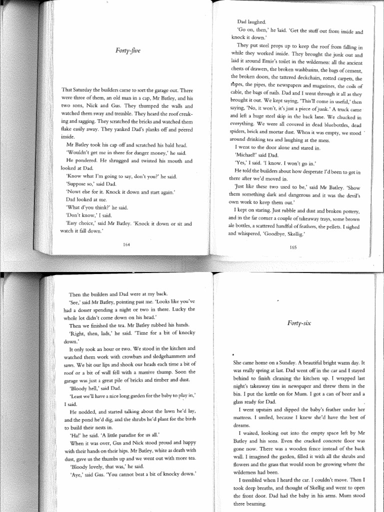 Skellig-book-pages-44 | PDF