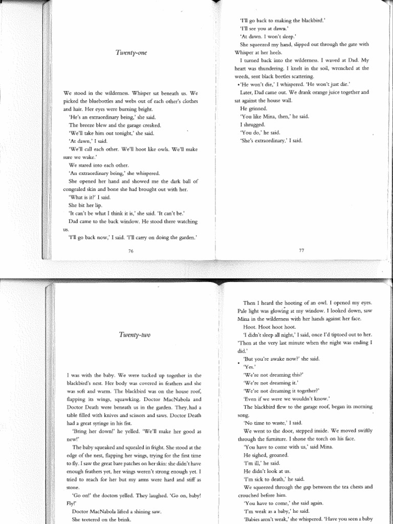 Skellig-book-pages-22 | PDF