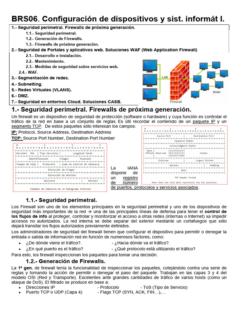 Seguridad Perimetral y Firewalls Avanzados | PDF | Cortafuegos (informática) | Protocolo de ...