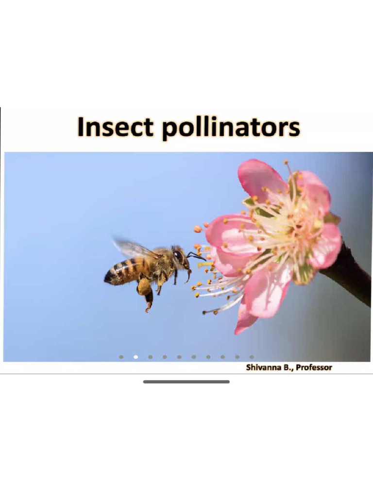 Aet Pollination Honey Bee Lac | PDF