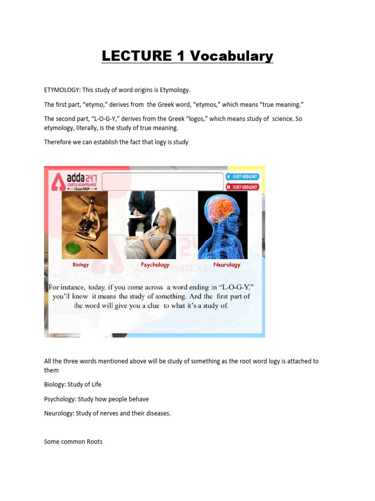 LECTURE 1 Vocabulary | PDF