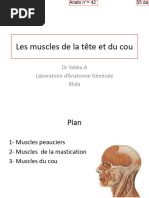 Anatomie de la région de la nuque | PDF | Vertèbre | Colonne vertébrale