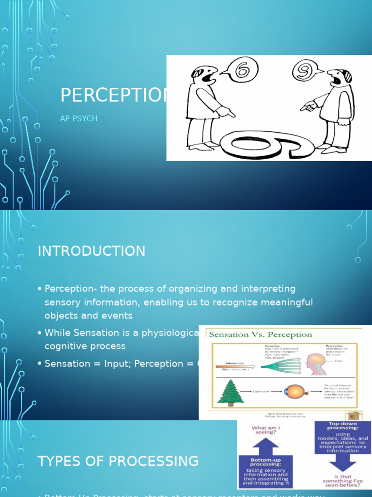 Perception | PDF