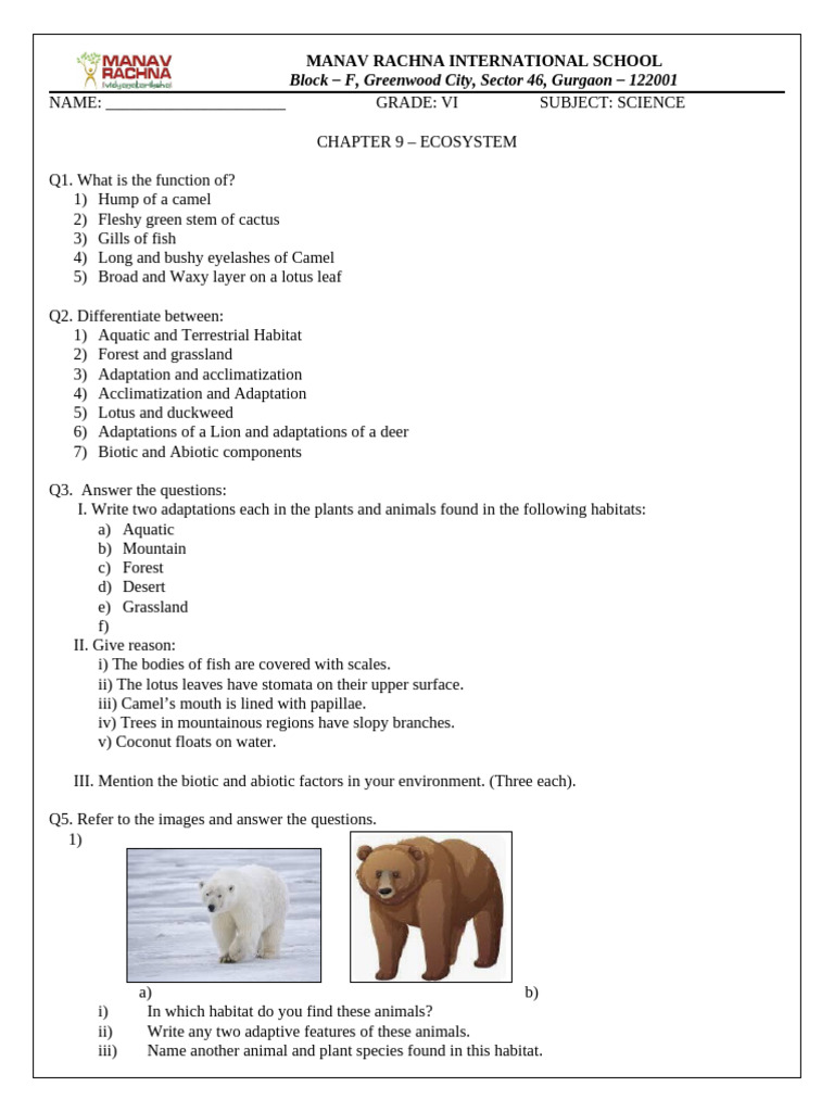 Grade VI Science: Ecosystem Adaptations | PDF | Habitat | Fur