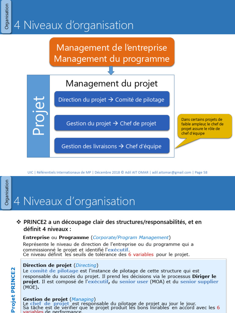 Niveaux d'Organisation en Management de Projet | PDF | Gestion de ...