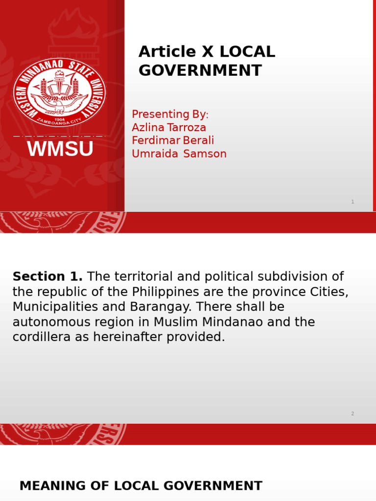 Local Government | PDF | Government | Governance