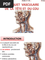 Anatomie de la veine jugulaire interne | PDF | Cou | Anatomie humaine