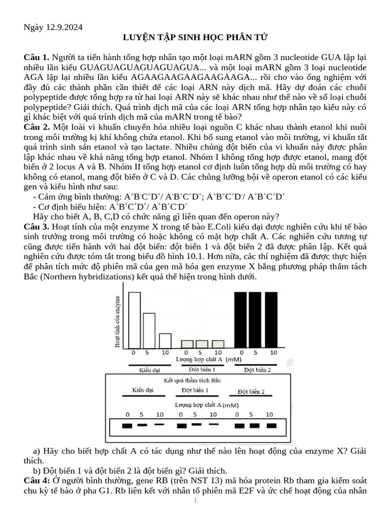 QG V2 - SHPT 12.9.24 | PDF