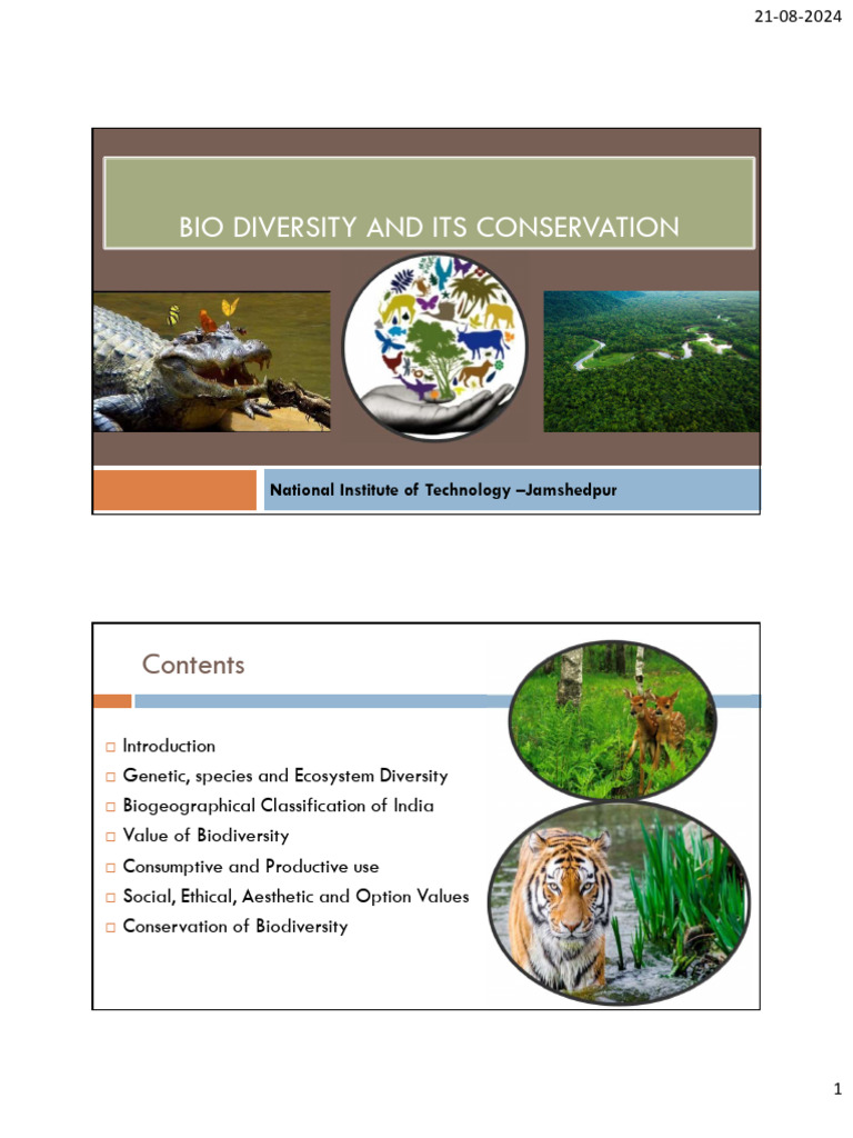 Importance of Biodiversity and Conservation | PDF | Biodiversity ...
