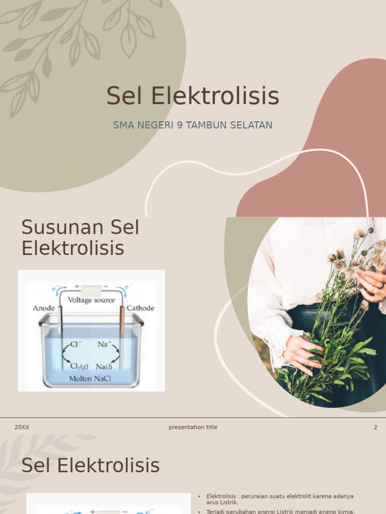 Sel Elektrolisis & Hk. Faraday | PDF