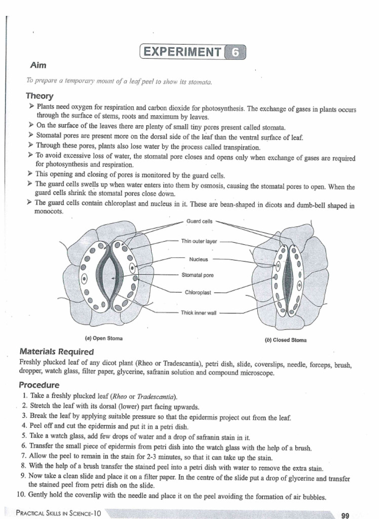 Bio Journal Work | PDF