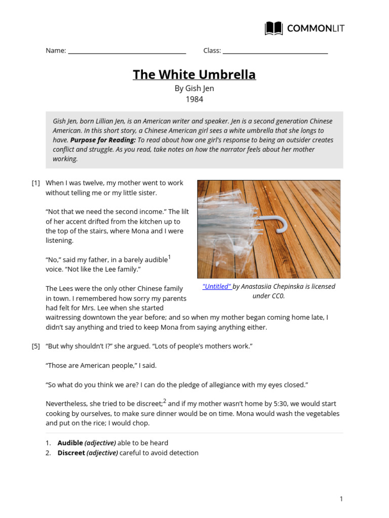 The_White_Umbrella-teacher-14 | PDF