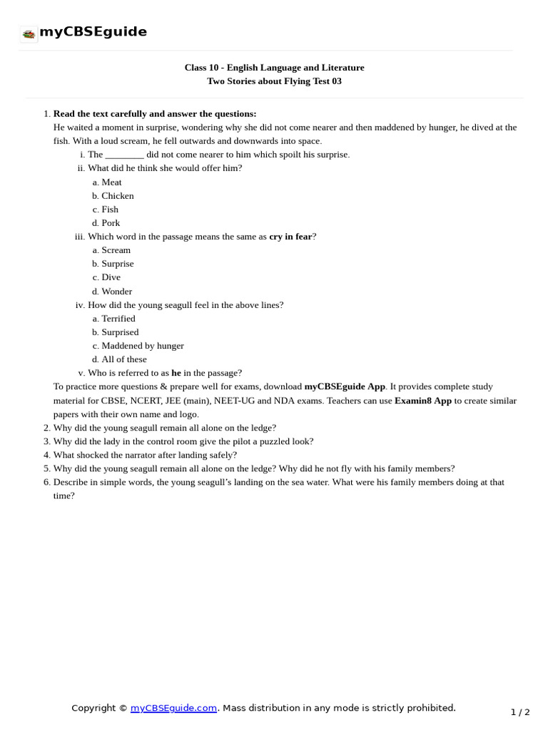 10 Englishll FF Twostoriesaboutflying Tp03 | PDF