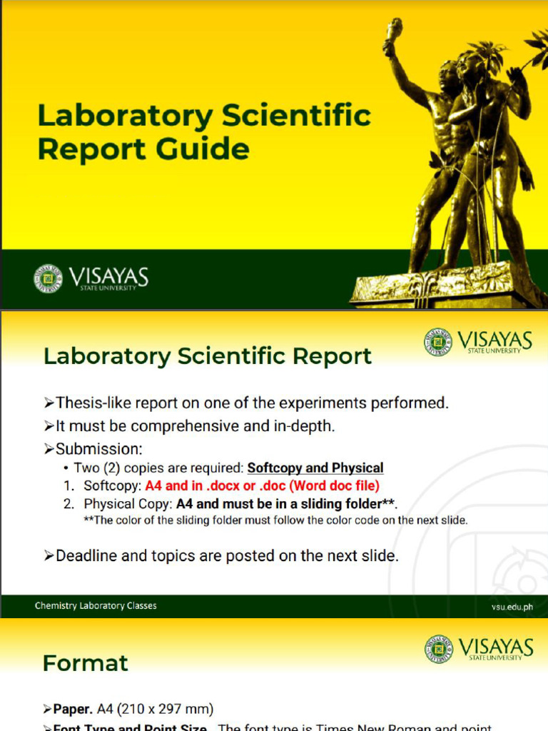 Scientific Report Format | PDF