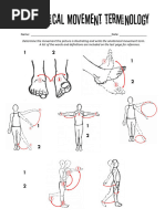 Anatomical Terms of Movement Explained | PDF | Anatomical Terms Of ...