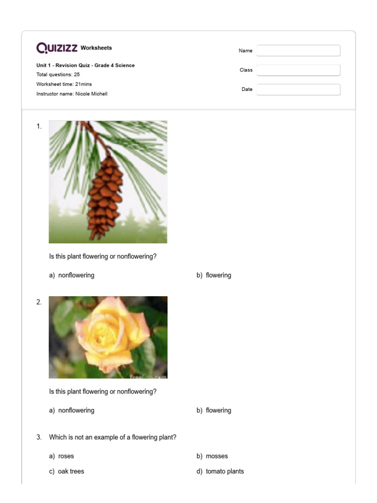 Unit 1 - Revision Quiz - Grade 4 Science - Quizizz | PDF | Flowers | Petal