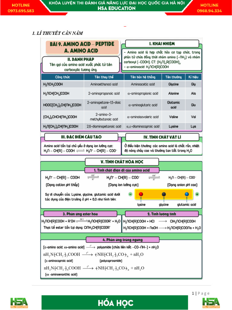 Hsa. Ha Hc. B18. Amino Acid | PDF