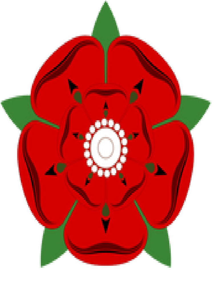 Rose | PDF