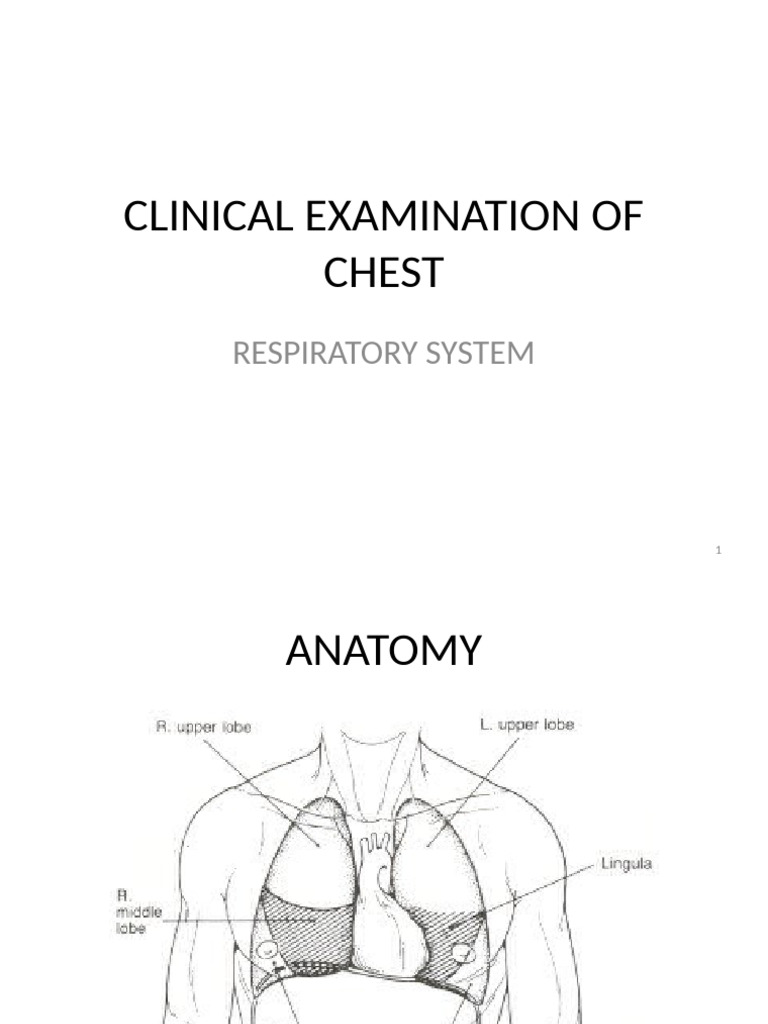 Ppt-Clinical Examination of Chest-2 | PDF | Pulmonology | Physical ...