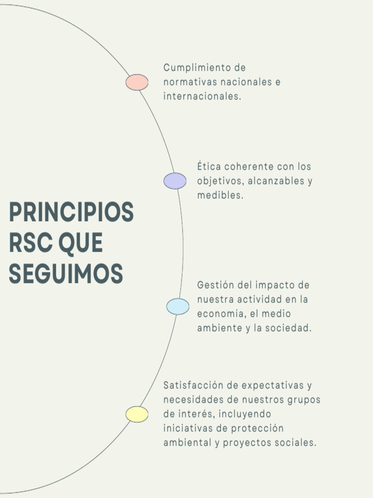 Principios RSC Que Seguimos | PDF
