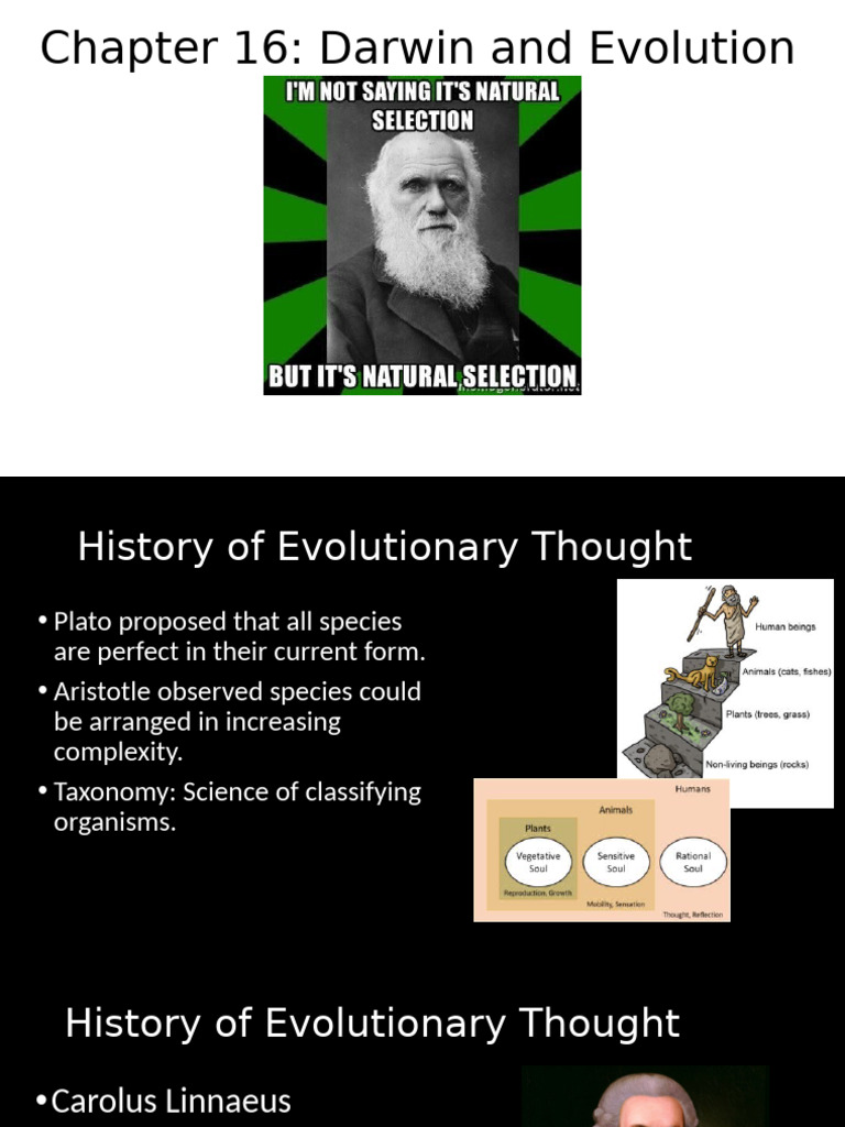 Evolutionary Thought and Darwin's Theory | PDF | Natural Selection ...