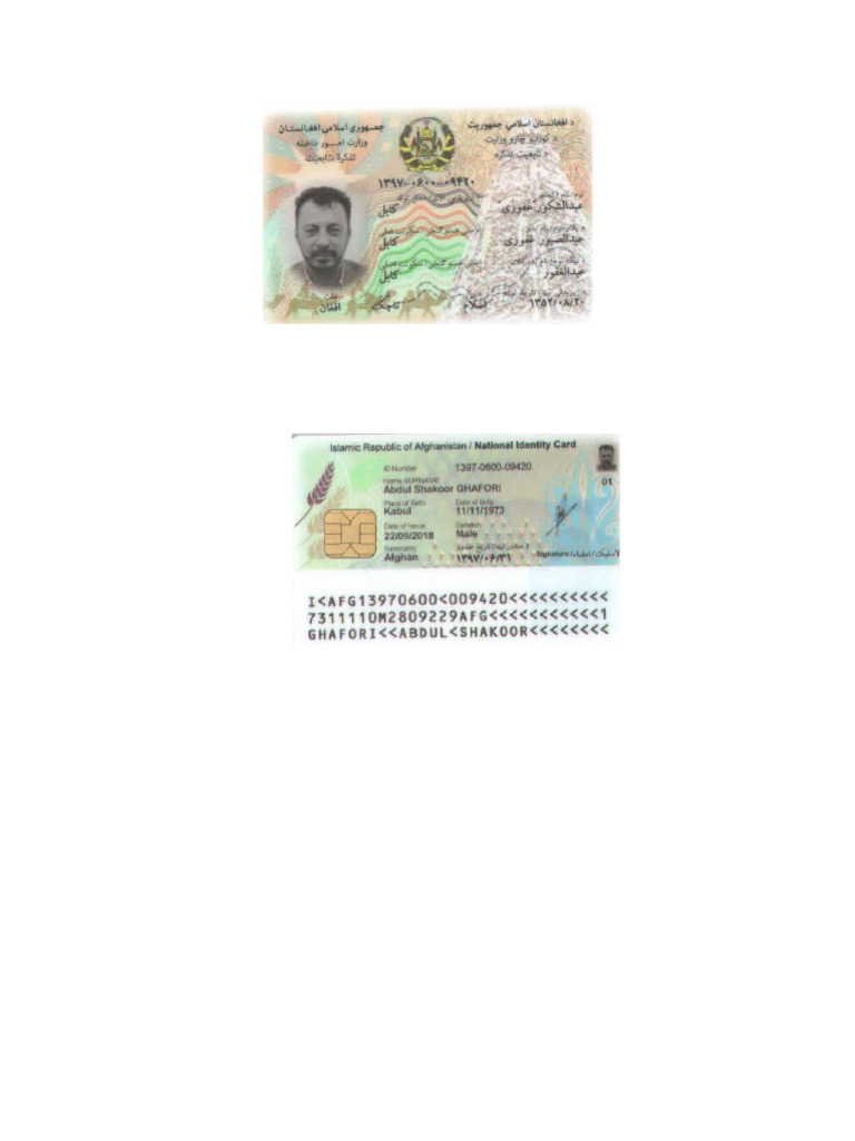 Electronic ID Card | PDF