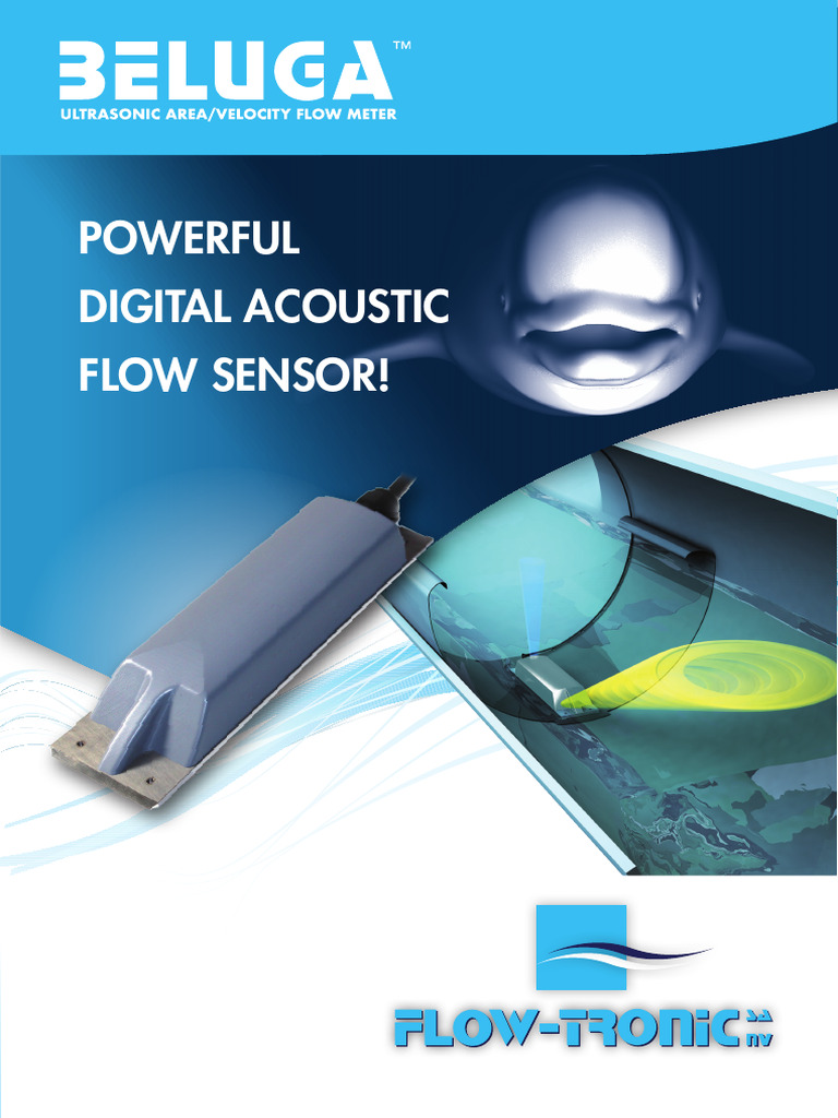 2021 - BELUGA Brochure EN A4 | PDF | Flow Measurement | Spectral Density