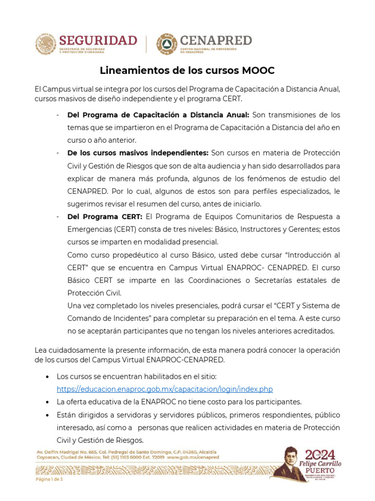 Lineamientos Campus Vitual 2024 | PDF | Informática
