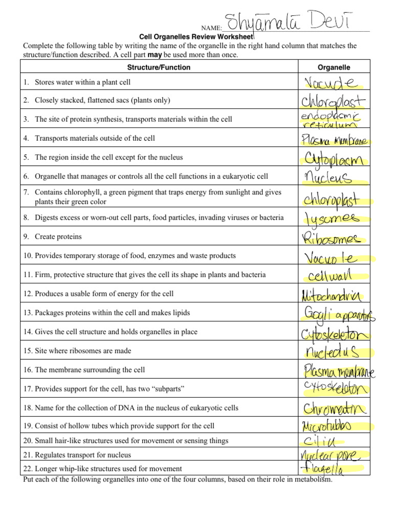 Cell Organelle Review Worksheet | PDF