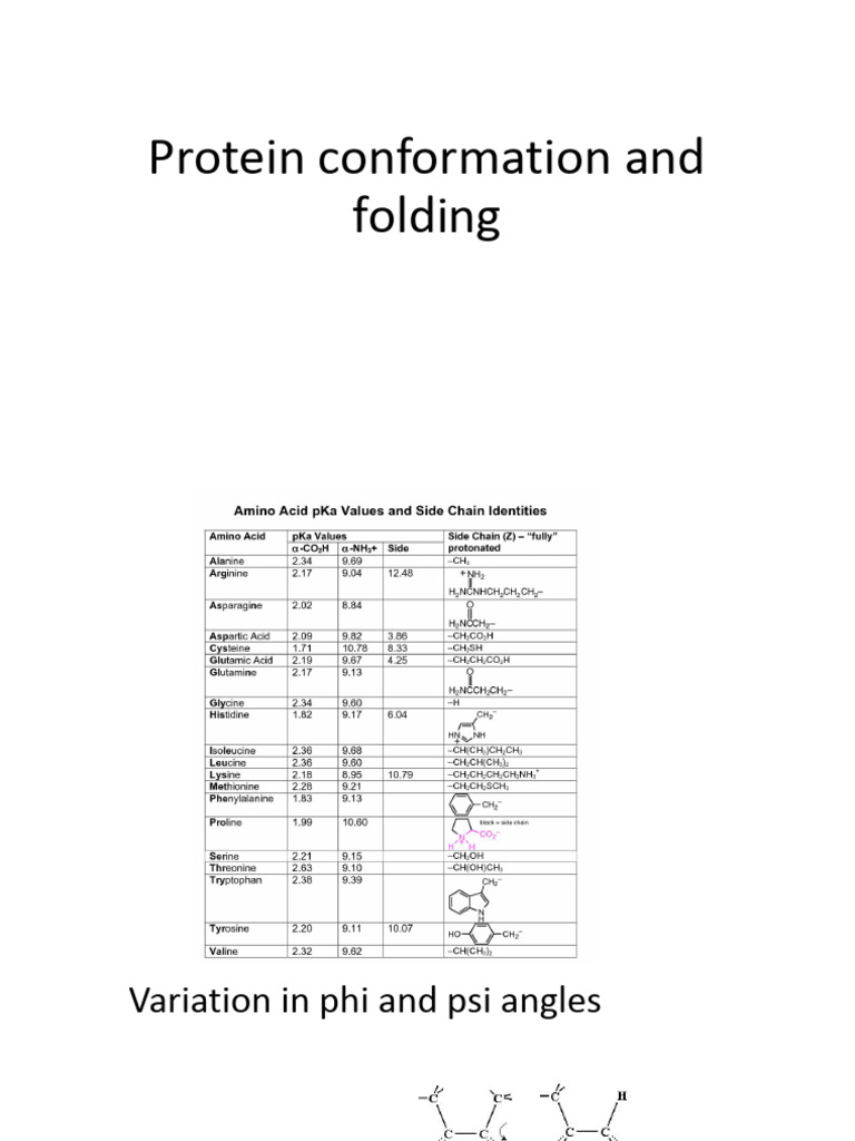 Protein Conformation and Folding | PDF | Alpha Helix | Beta Sheet