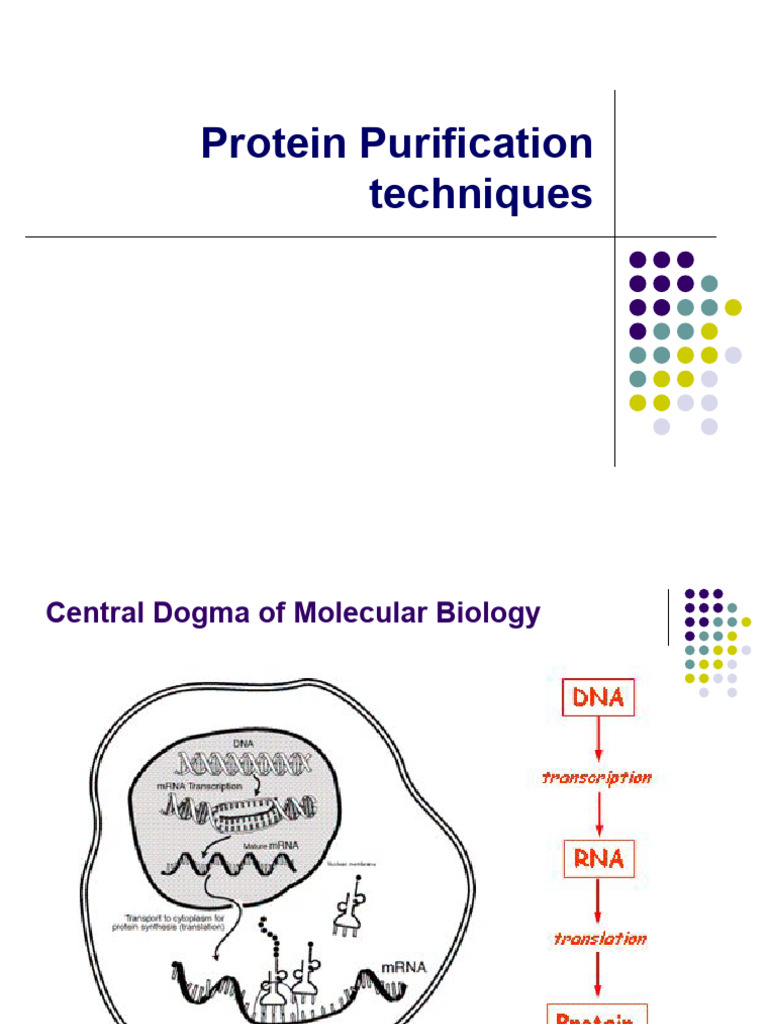 Protein Purification Techniques Overview | PDF | Protein Purification ...