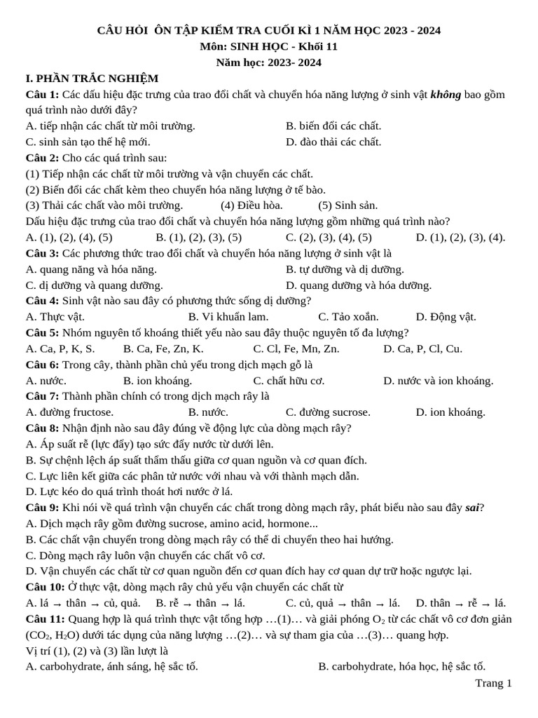 NHCH On Tap Cki Sinh 11 | PDF