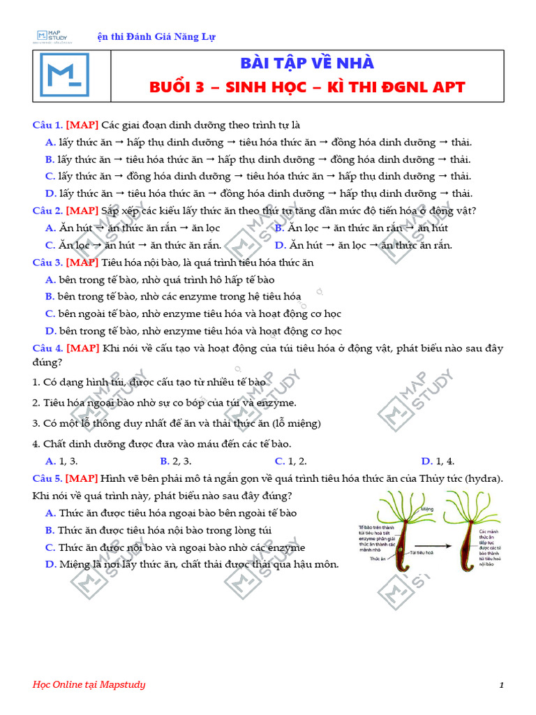 Tai Lieu - Buoi 3 Bai Tap Ve Nha 1728358555191 | PDF