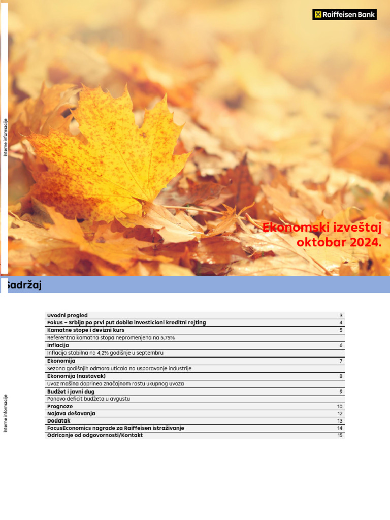 7082 Ekonomski Izveštaj Oktobar 2024. | PDF