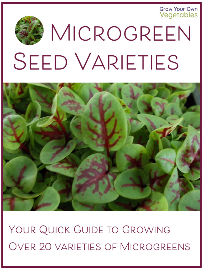 Microgreen+Varieties | PDF | Agriculture | Vegetables