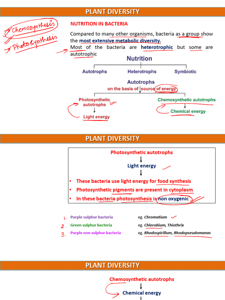 Plant Diversity L4 | PDF | Bacteria | Archaea