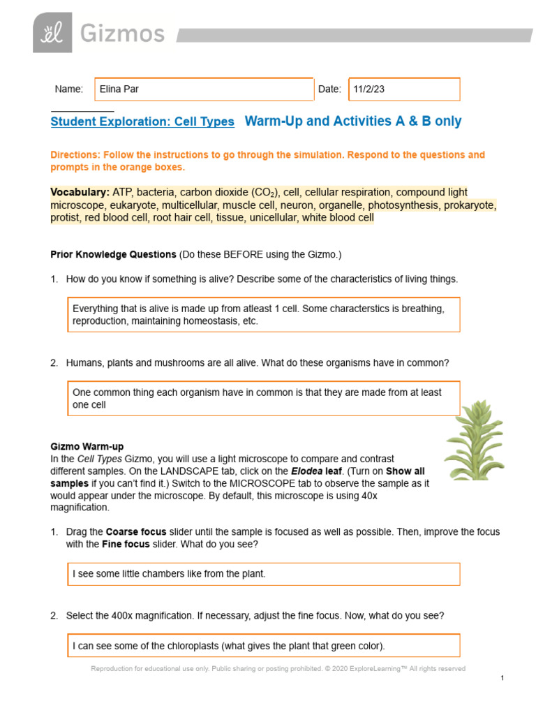 Cell Types Gizmos Warm-Up & Activities A & B SE Sheet | PDF | Cell ...