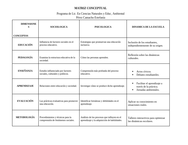 Matriz Conceptual | PDF