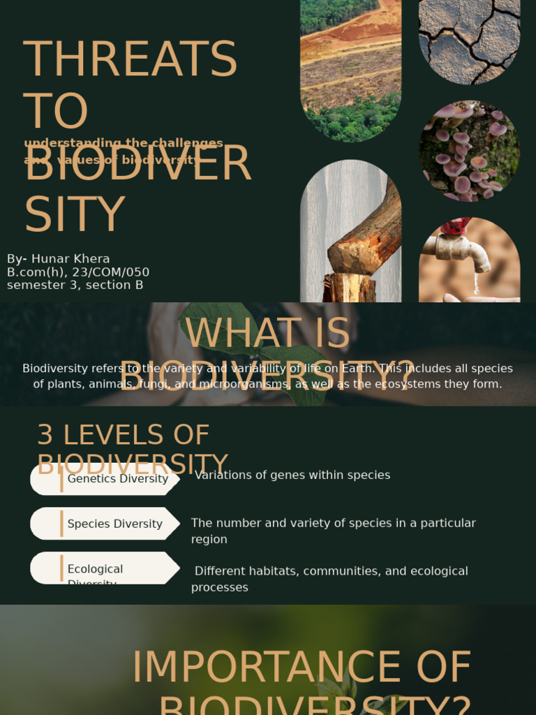 EVS PPT Biodiversity | PDF | Biodiversity | Habitat Destruction